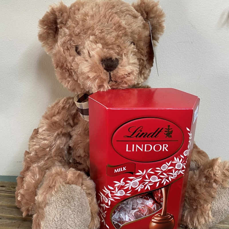 A bear co bundle - munimoro.gob.pe